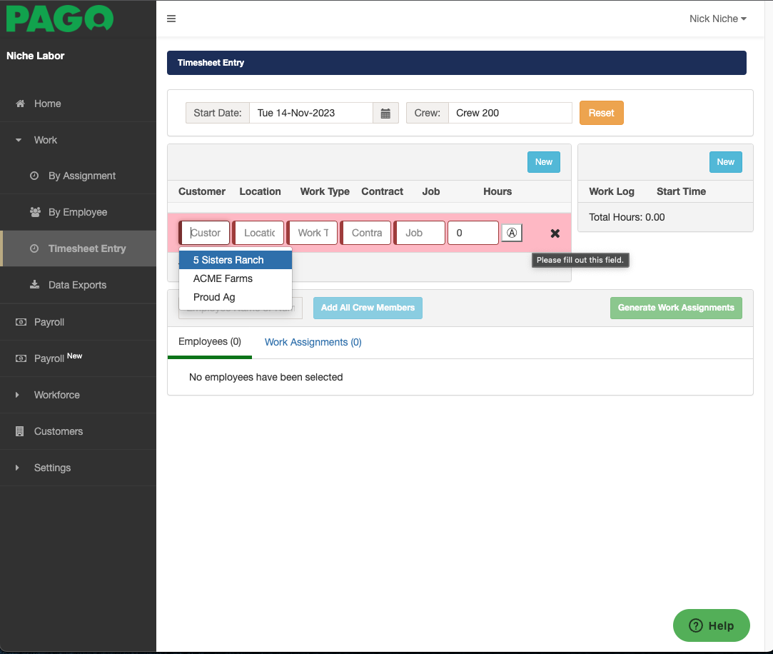 Missing Customer in Timesheet Entry – Pago