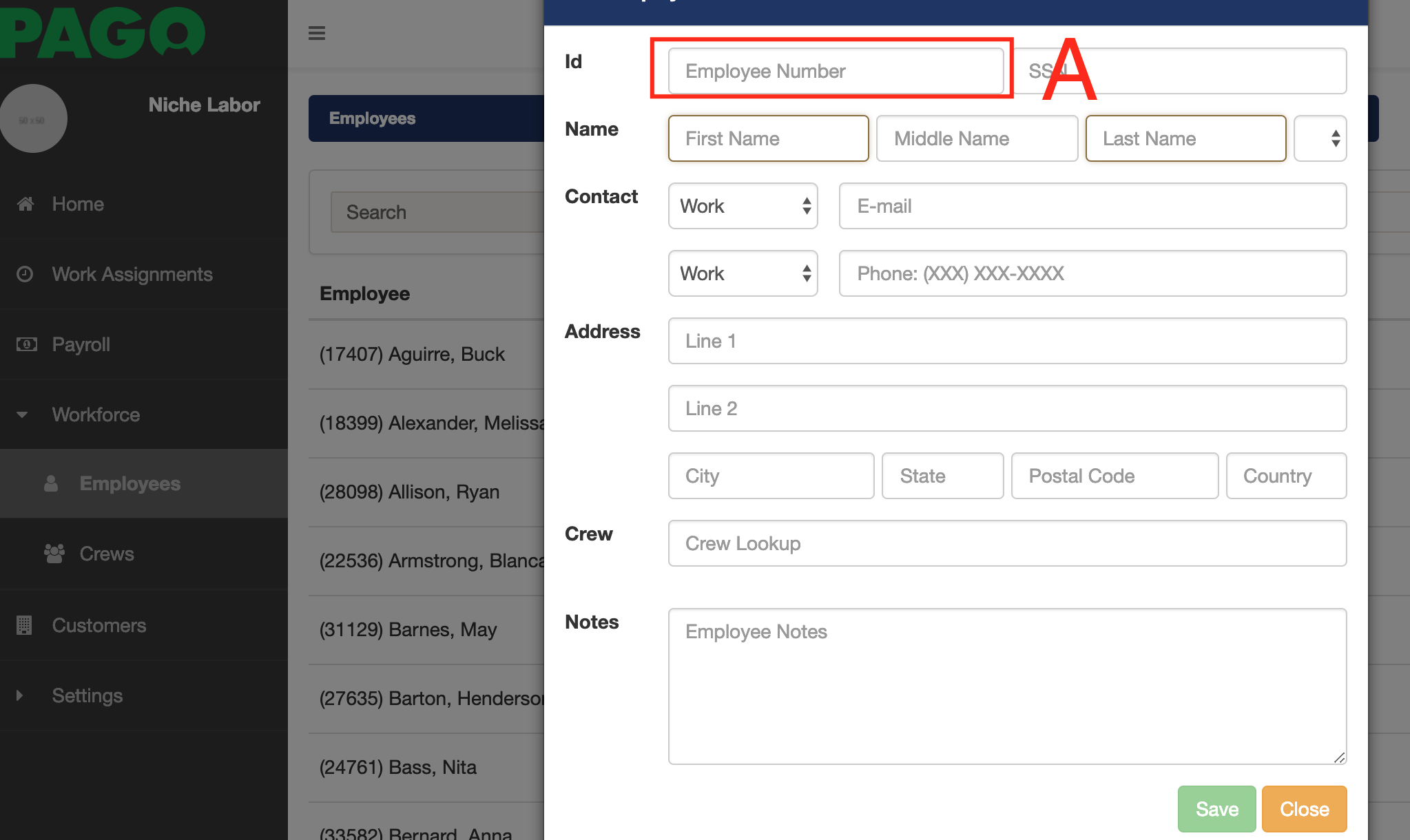 Datatech: Payroll import file format – Pago