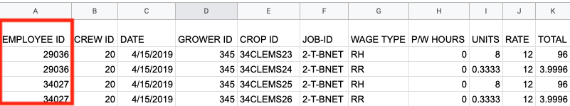 Datatech: Payroll import file format – Pago