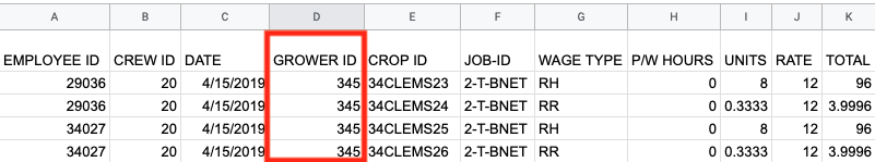 Datatech: Payroll import file format – Pago